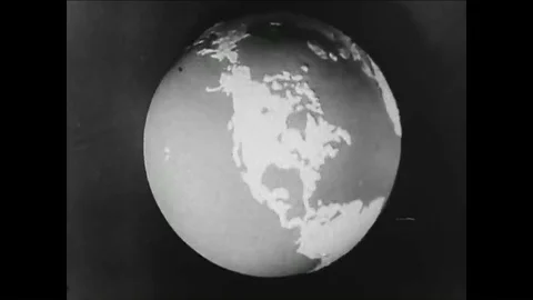 Animated Animal Photos Stock Videos – Royalty-Free HD & 4K Videos