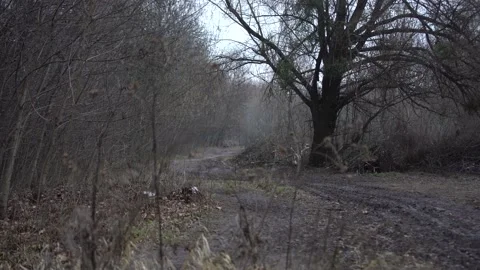 Cloudy Fall Weather Stock Videos – Royalty-Free HD & 4K Videos