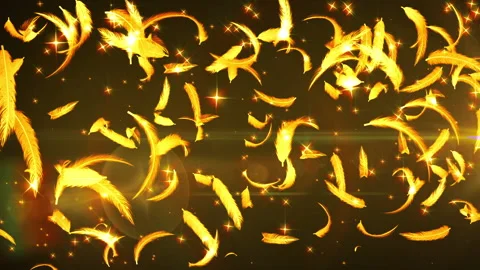 Feather Animation Stock Video Footage | Royalty Free Feather Animation ...
