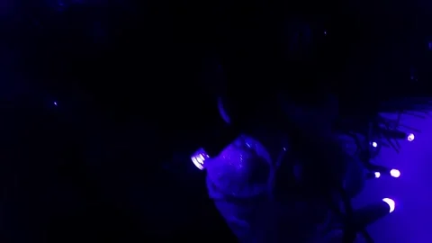 Christmas Joy Cast Stock Videos – Royalty-Free HD & 4K Videos | Pond5