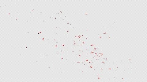 Glowing Fire Embers & Ash - Transparent ... | Stock Video | Pond5