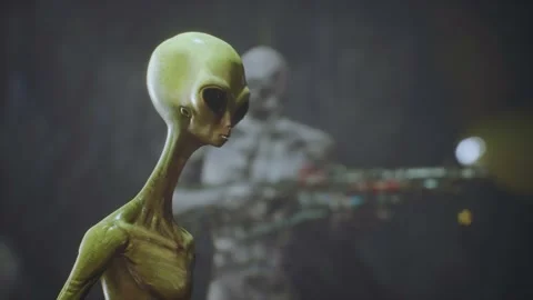 Glowing Fungi Stock Videos – Royalty-Free HD & 4K Videos | Pond5