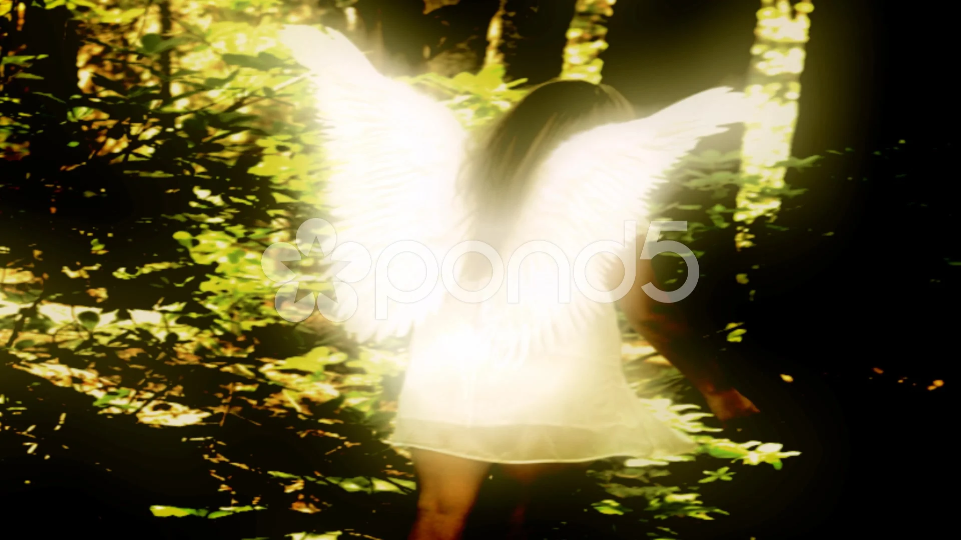 Glowing Heavenly Angels Free Heavenly Angel Kitten Image | Download At