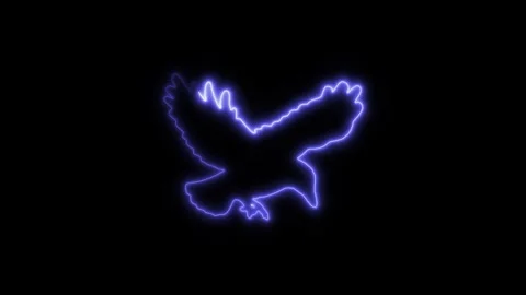 Animal X Video Stock Videos – Royalty-Free HD & 4K Videos | Page 3