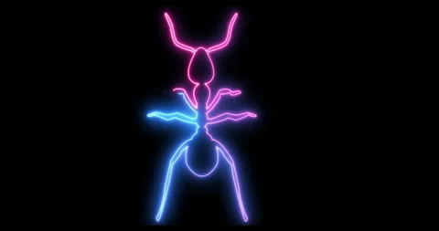 Glowing Neon Ant Animation in Stunning 4... | Stock Video | Pond5