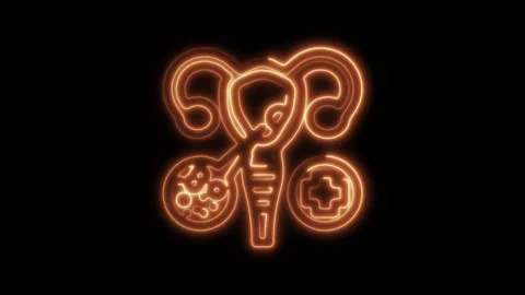 Cervical Exam Videos Stock Videos – Royalty-Free HD & 4K Videos