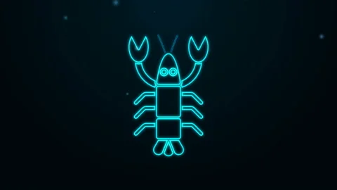 Lobster Videos Stock Videos – Royalty-Free HD & 4K Videos