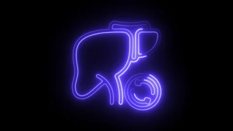 Bilet Video Stock Videos – Royalty-Free HD & 4K Videos