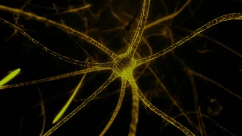 Glowing neurons realistic animation in t... | Stock Video | Pond5
