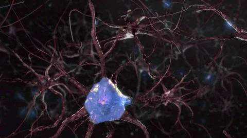 Glowing neurons realistic animation in t... | Stock Video | Pond5