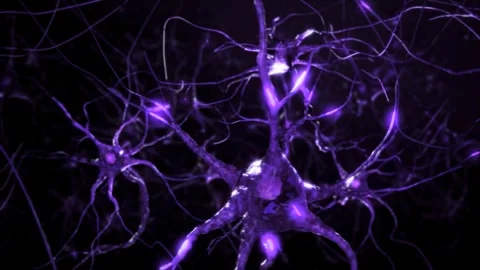Glowing neurons realistic animation in t... | Stock Video | Pond5