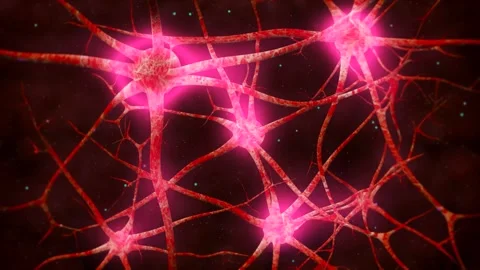 Glowing neurons realistic animation in t... | Stock Video | Pond5