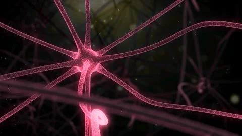 Glowing neurons realistic animation in t... | Stock Video | Pond5
