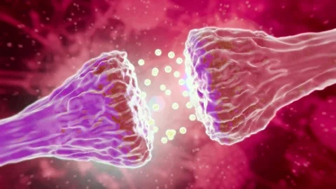 Glowing neurons realistic animation in t... | Stock Video | Pond5