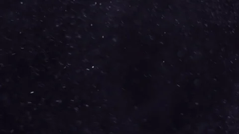 Glowing particle overlay on alpha backgr... | Stock Video | Pond5