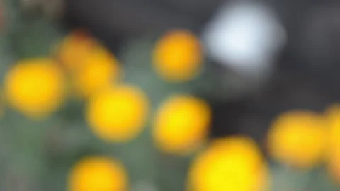 glowing spots of orange color | Stock Video | Pond5