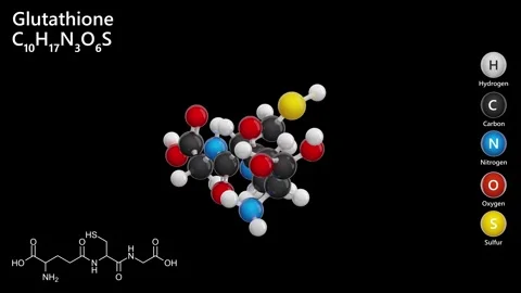Glutathione. Antioxidant. Animated 3D mo... | Stock Video | Pond5