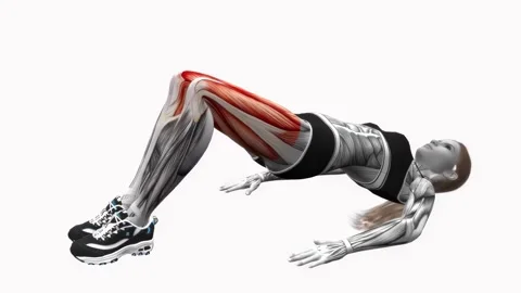 Fitness Animation Stock Video Footage | Royalty Free Fitness Animation ...