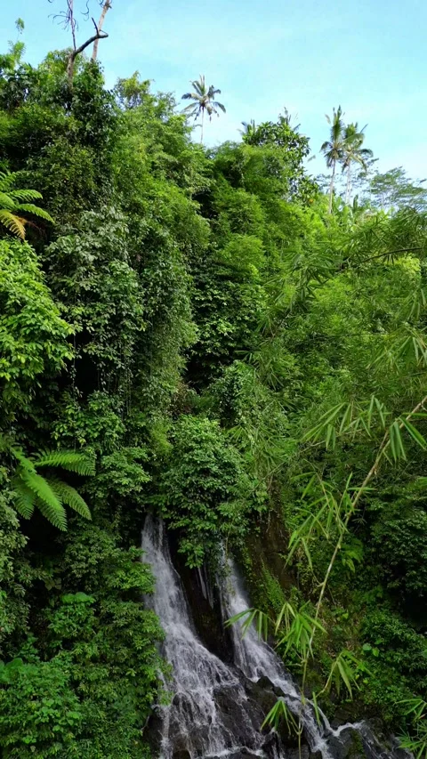 Video Of Giri Stock Videos – Royalty-Free HD & 4K Videos | Pond5