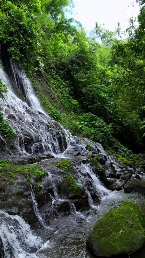 1 Giriş Stock Videos – Royalty-Free HD & 4K Videos | Pond5