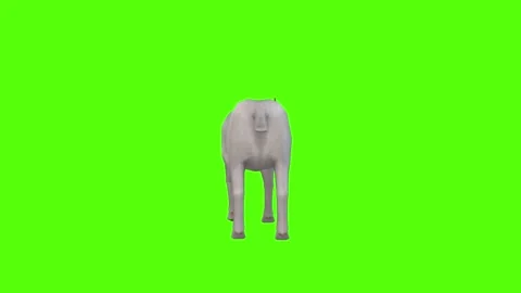 Goat Angry Green Screen Animation 4k Ren... | Stock Video | Pond5