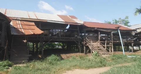 Goat barns made from a variety of materi... | Stock Video | Pond5