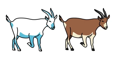 goats Sketch and 2d animated, animals | Stock Video | Pond5