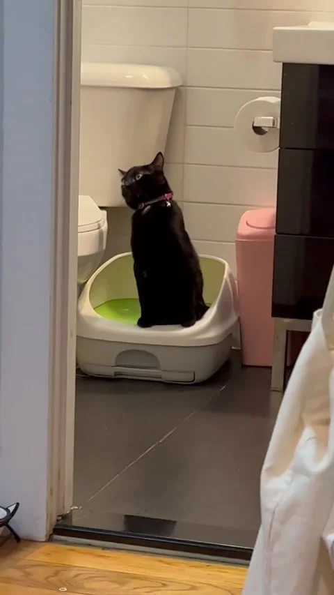 May Experience Stock Videos – Royalty-Free HD & 4K Videos