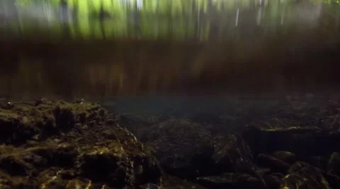 Bank Going Under Stock Videos – Royalty-Free HD & 4K Videos