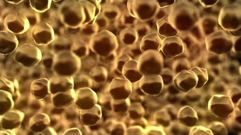 Gold background, loop seamless, animatio... | Stock Video | Pond5