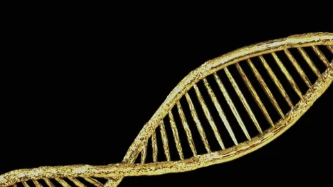 Gold colored dna cell structure on black... | Stock Video | Pond5