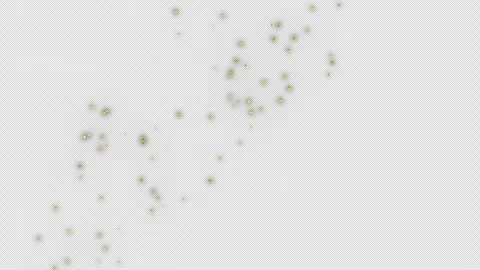 Gold Confetti Explosion Animation on a t... | Stock Video | Pond5