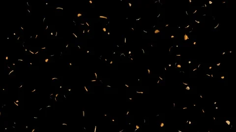 Gold Confetti Loop Stock Video Footage | Royalty Free Gold Confetti Loop Videos | Pond5