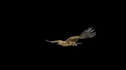 Gold Eagle - Flying Loop - Left Side Ang... | Stock Video | Pond5