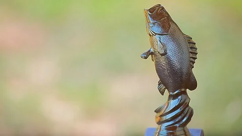 gold fish prize grass background | Stock Video | Pond5