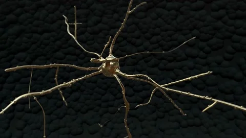 Gold Neuron cell inside the brain in mot... | Stock Video | Pond5