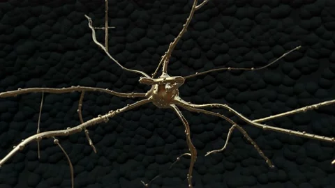 Gold Neuron cell inside the brain in mot... | Stock Video | Pond5
