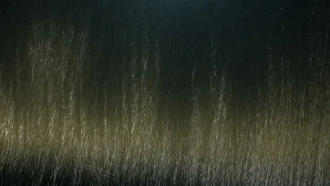 Gold Rain Background Stock Video Footage | Royalty Free Gold Rain ...