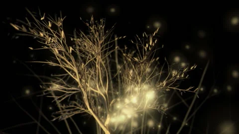 Golden 3D mythical animation Tree on bla... | Stock Video | Pond5