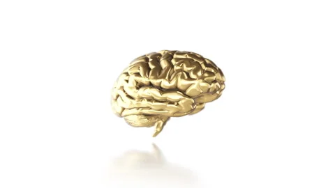 Golden brain animation. Seamless loop on... | Stock Video | Pond5