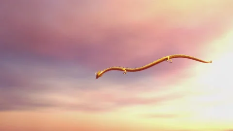 Golden chinese dragon flying on the sky ... | Stock Video | Pond5