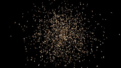 Confetti Animation Stock Footage ~ Royalty Free Stock Videos | Pond5