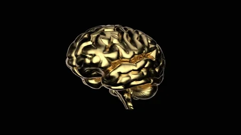 Golden Human brain with Reflections Loop... | Stock Video | Pond5