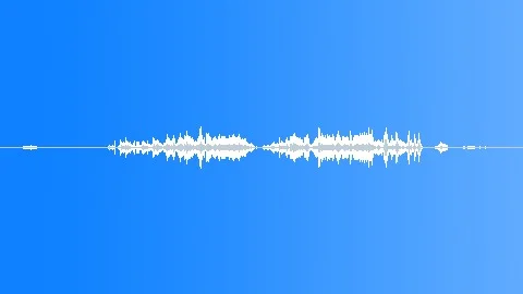 Golden Jackal Jackals Howling ~ Sound Effect #8641900