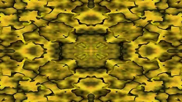 Forward Party Center Stock Videos – Royalty-Free HD & 4K Videos