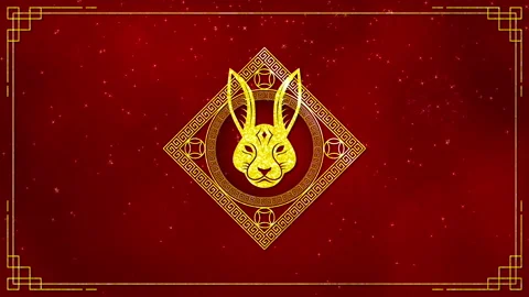 Chinese Bunny Stock Videos – Royalty-Free HD & 4K Videos | Pond5