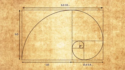 Golden Ratio Stock Video Footage | Royalty Free Golden Ratio Videos | Pond5