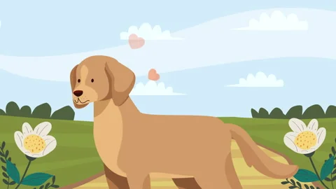 golden retriever dog mascot animation | Stock Video | Pond5
