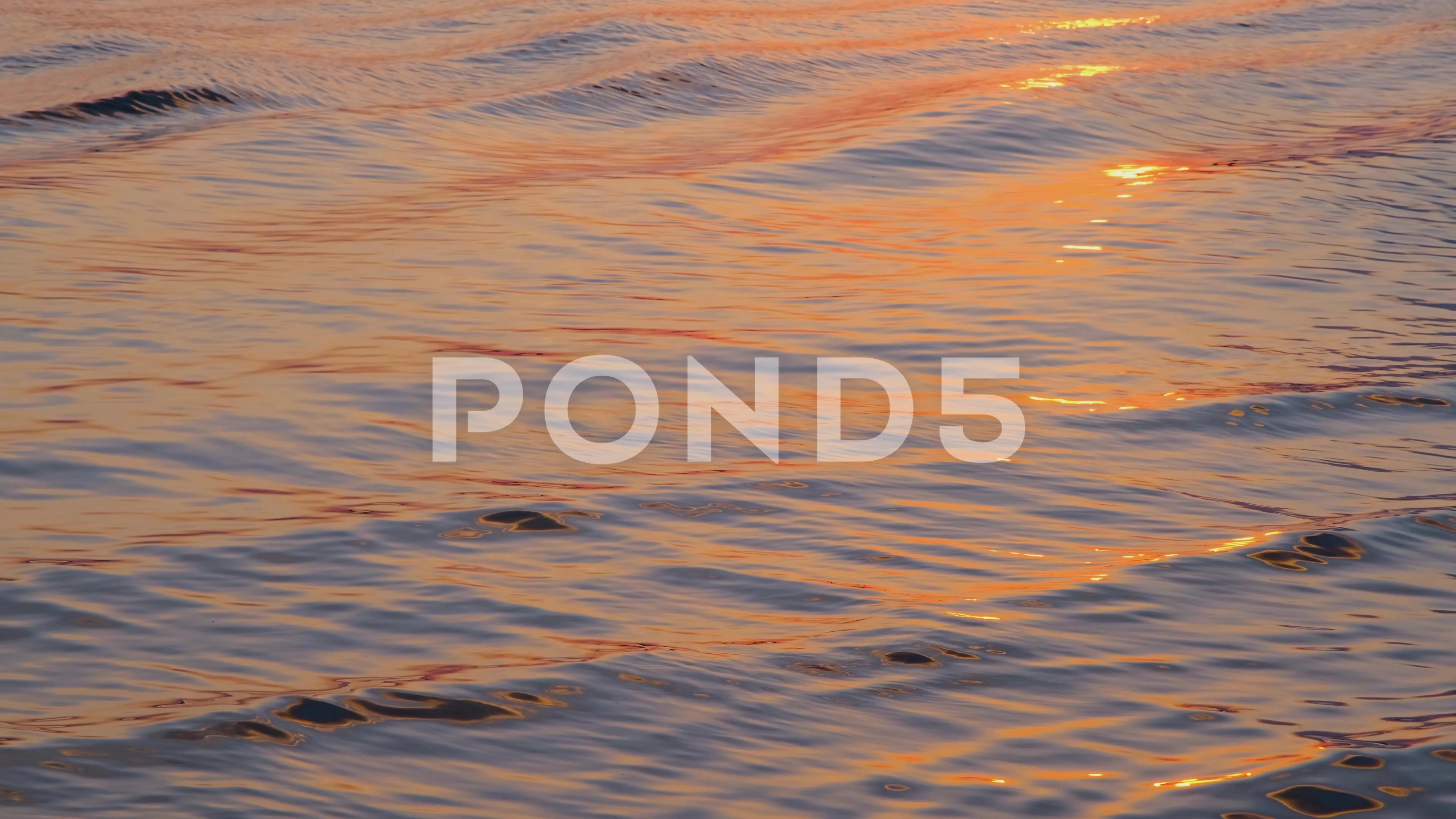 Golden Sun Reflection On Water