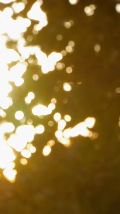 Bokep Dance Hot Stock Videos – Royalty-Free HD & 4K Videos | Pond5